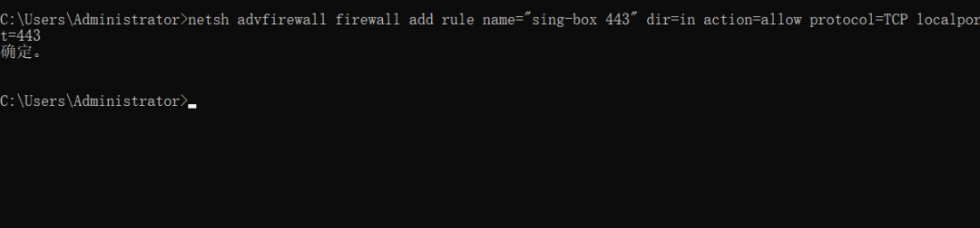 Windows服务器也能搭建高端节点线路!Sing-boxGUI全流程图文教程.md - 赋春思