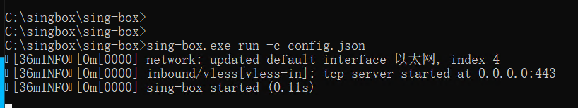 Windows服务器也能搭建高端节点线路!Sing-boxGUI全流程图文教程.md - 赋春思